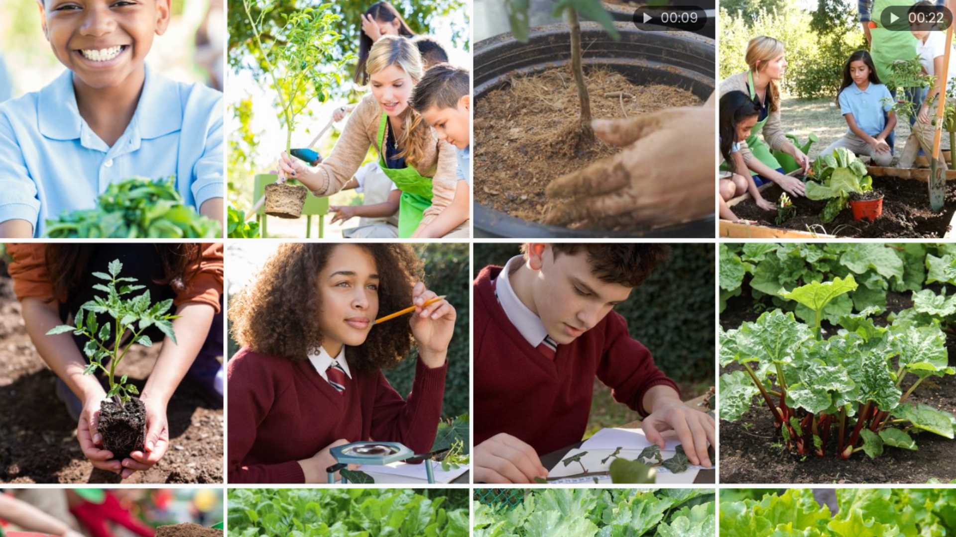 Visual Writing Prompts - Vidigami